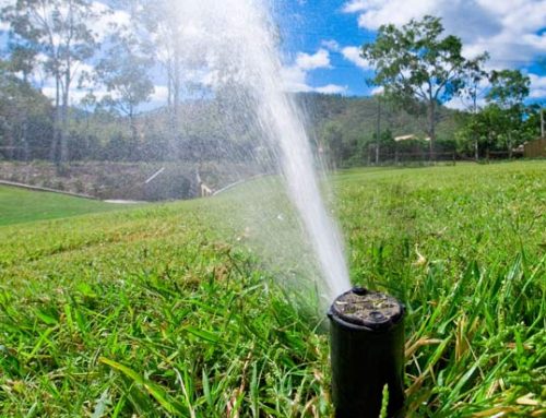 What’s the Minimum Pressure for Sprinkler Heads? | Pioneer Underground